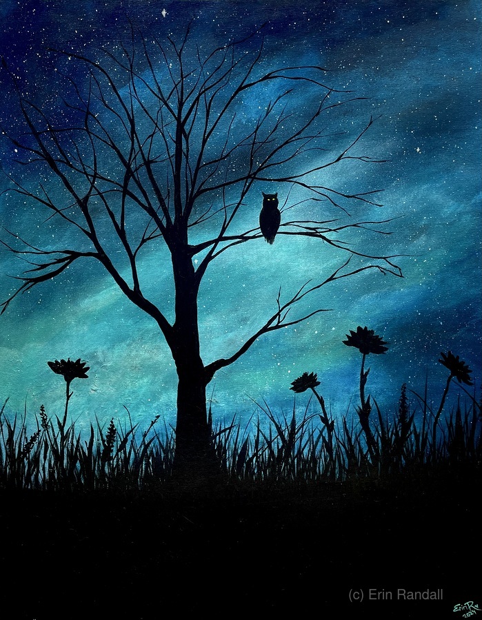 Moody night sky by Erin Randall Wall Art