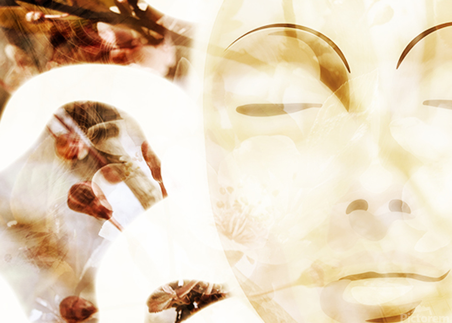 A Violin Story _ 1 Face by TheOn Wall Art