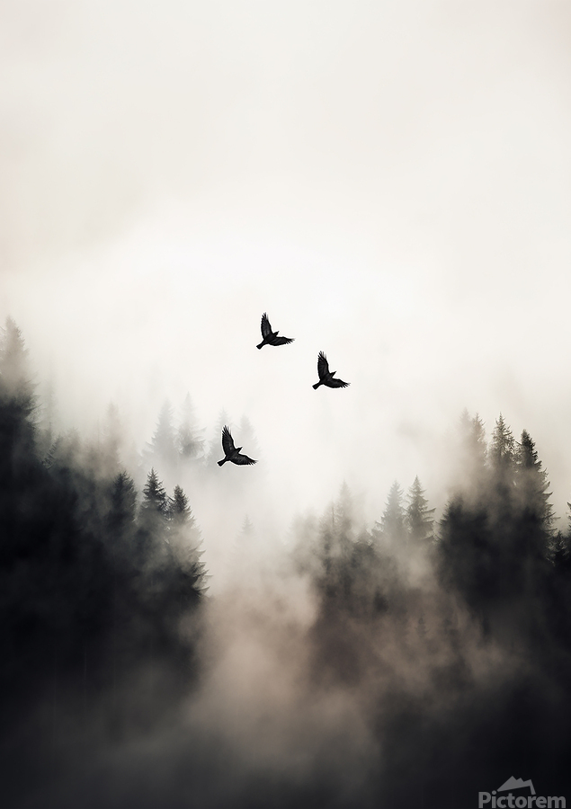 Flying Over - ISO ratio by EXSACC Artistic Findings Wall Art