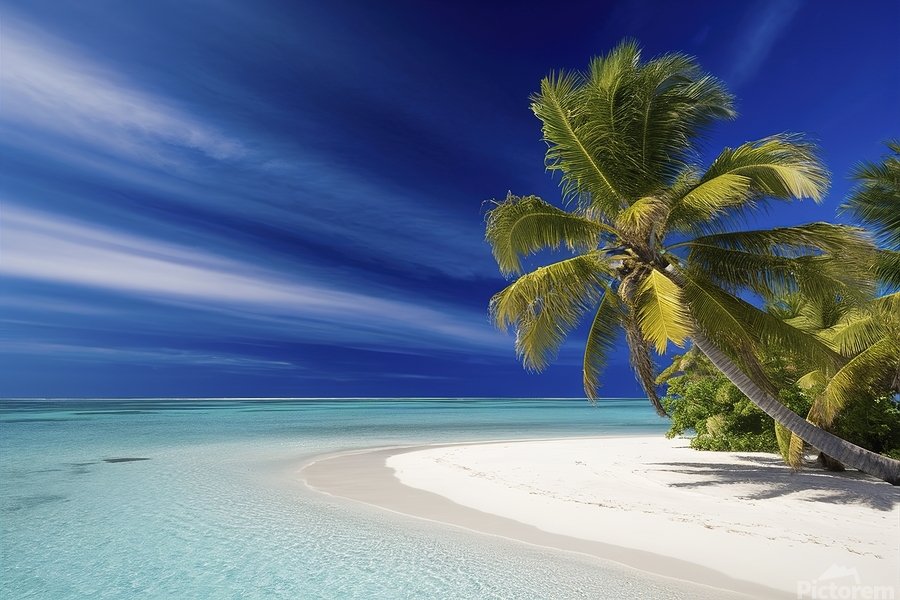 beautiful beach and sea with coconut palm tree on by Dan Avian Wall Art