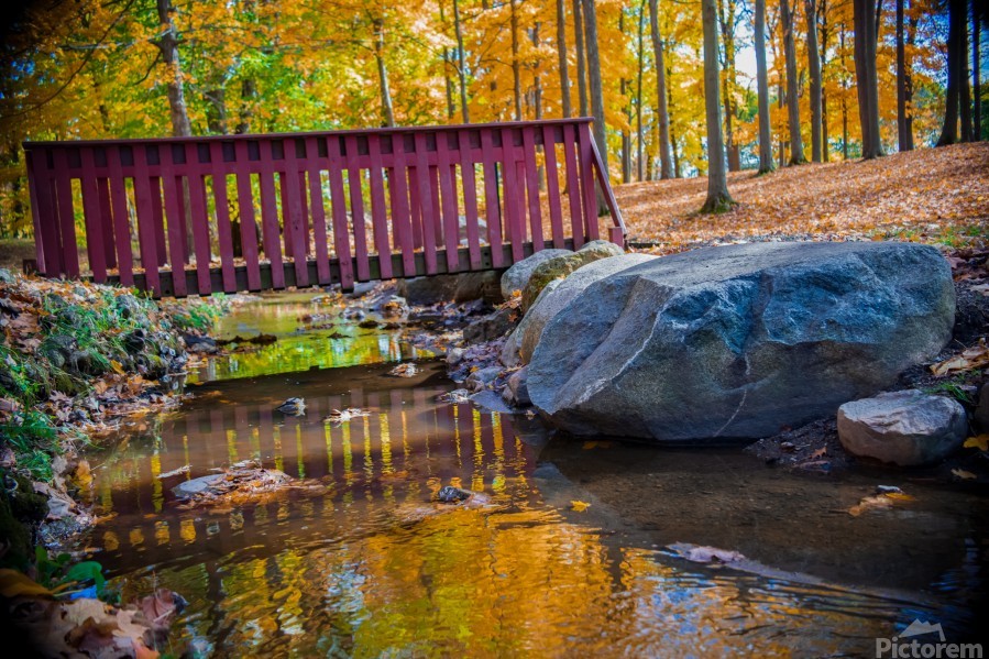 Bridge In The Fall by Phoenix Wilbur Wall Art