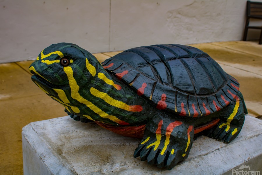 Wooden Turtle by Phoenix Wilbur Wall Art