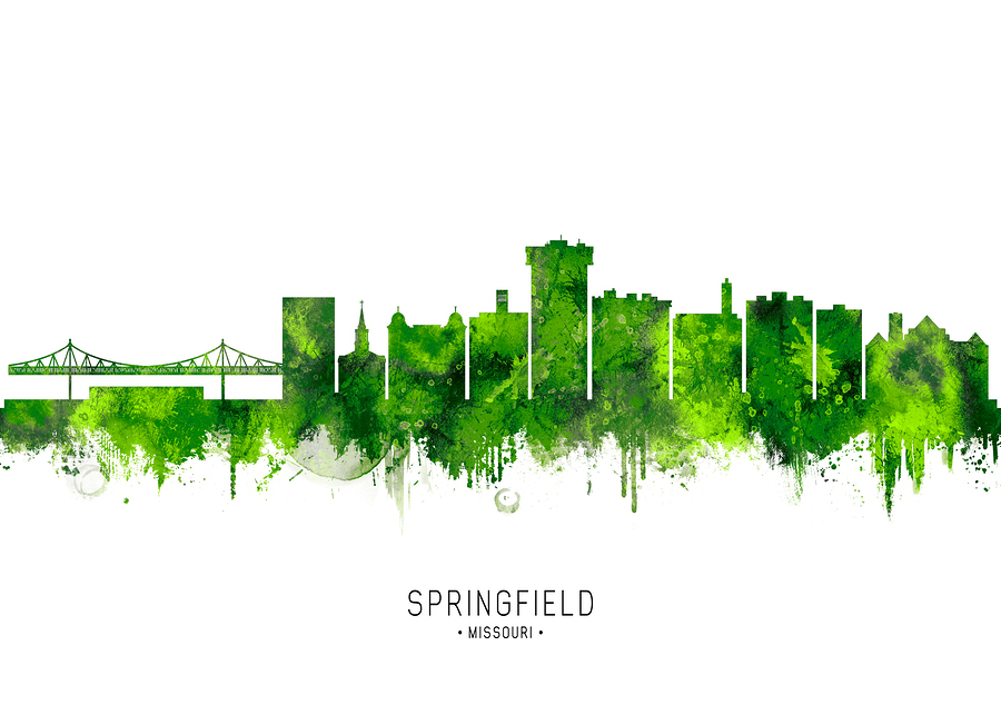 Springfield Missouri Cityscape by Towseef Dar Wall Art