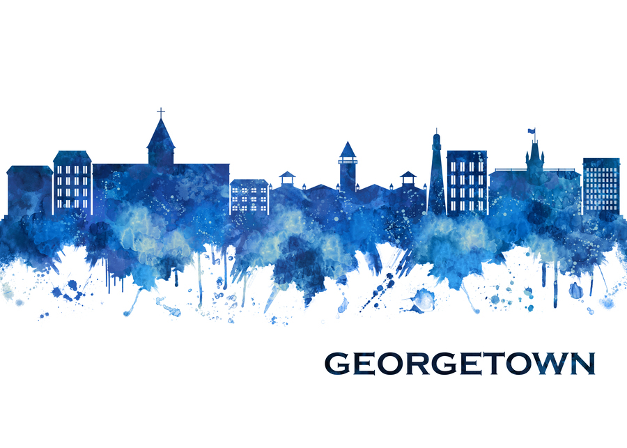 Georgetown Guyana Skyline Blue by Towseef Dar Wall Art