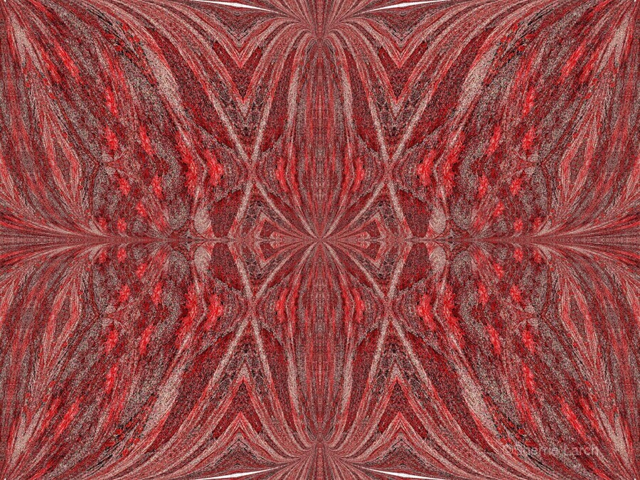 A Simple Red Butterfly by Sherrie Larch Wall Art