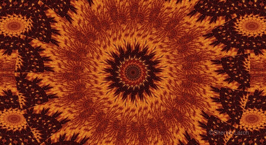 Black And Gold Wildflowers 12 by Sherrie Larch Wall Art