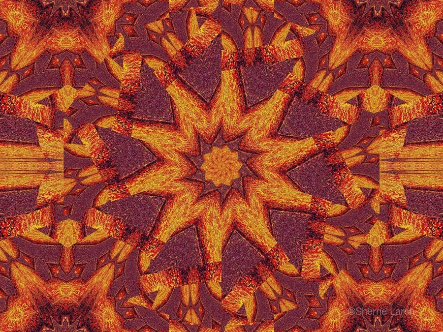 Desert Sunshine 80 by Sherrie Larch Wall Art