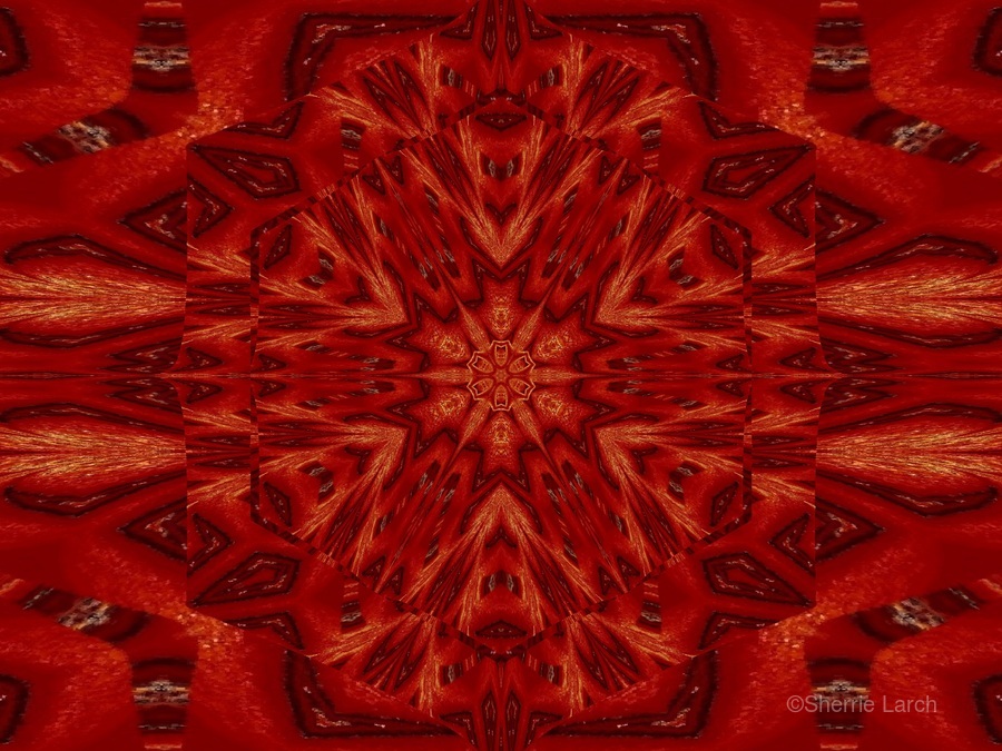 Inca Gold 47 by Sherrie Larch Wall Art