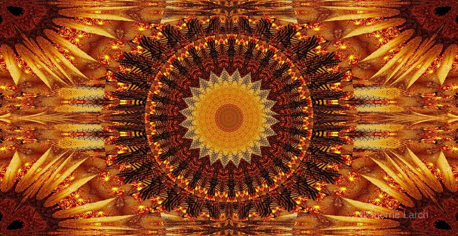 Lotus Birth 3 by Sherrie Larch Wall Art