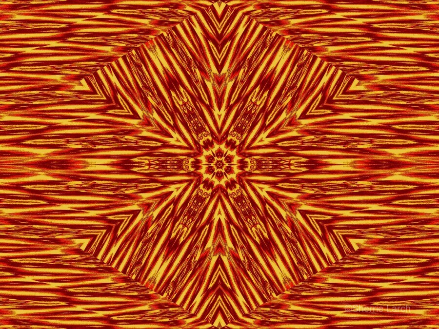 Summer Fire by Sherrie Larch Wall Art