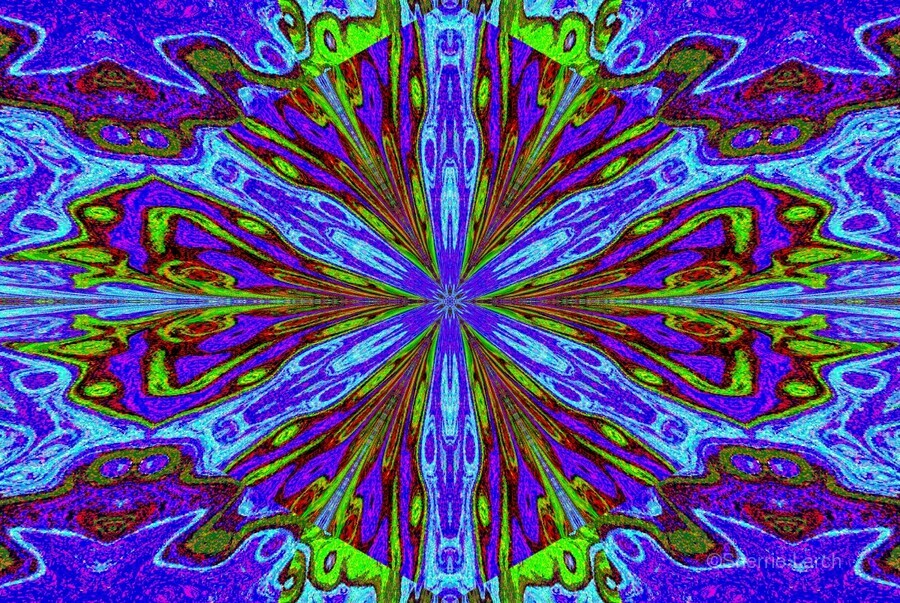 Wild Lillies 1 by Sherrie Larch Wall Art