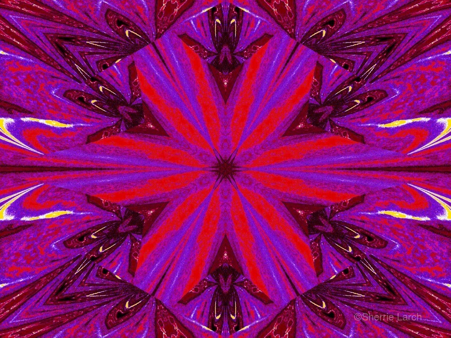 Wild Wildflowers 10 by Sherrie Larch Wall Art