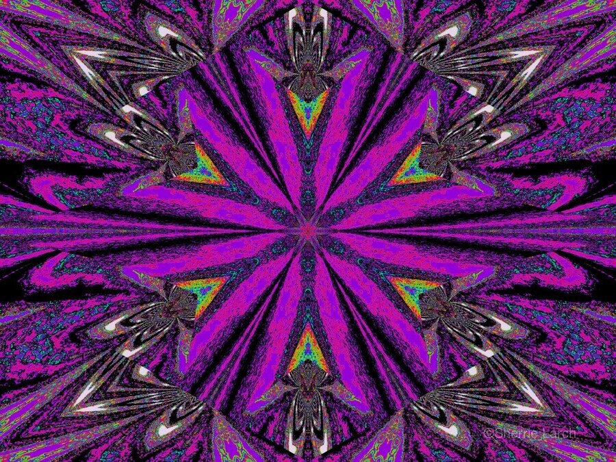 Wild Wildflowers 13 by Sherrie Larch Wall Art