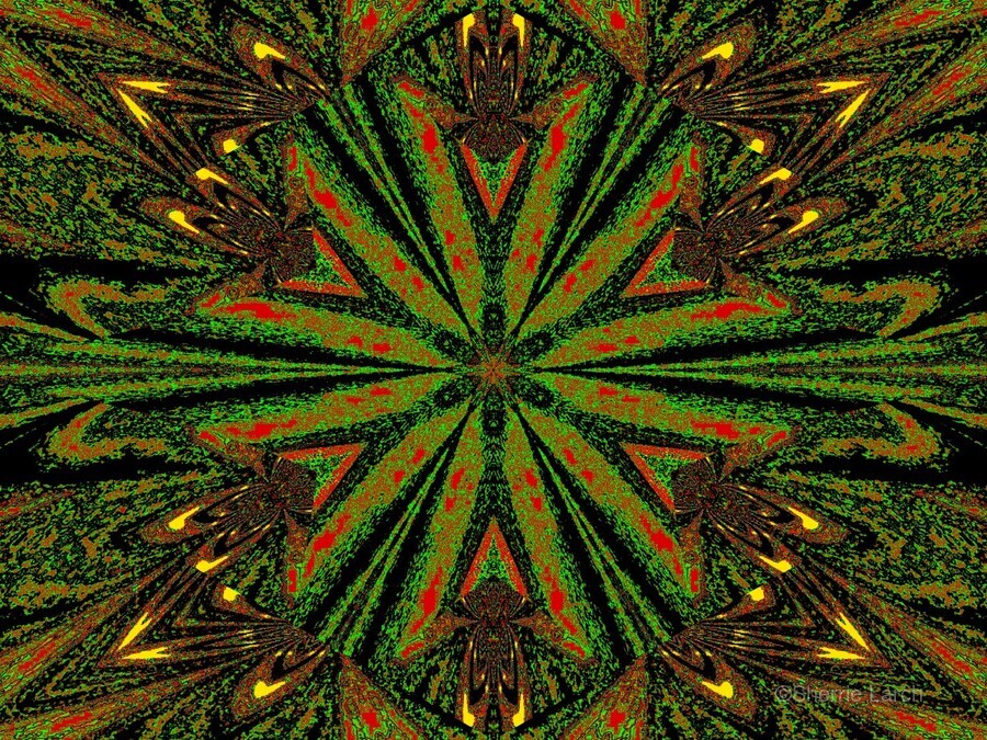 Wild Wildflowers 26 by Sherrie Larch Wall Art