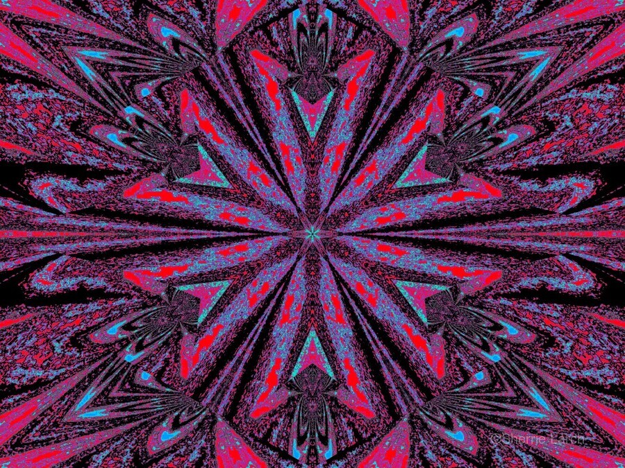 Wild Wildflowers 32 by Sherrie Larch Wall Art