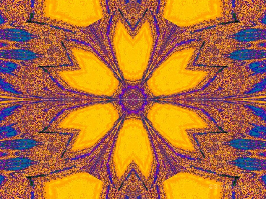 Yellow Dawn par Sherrie Larch