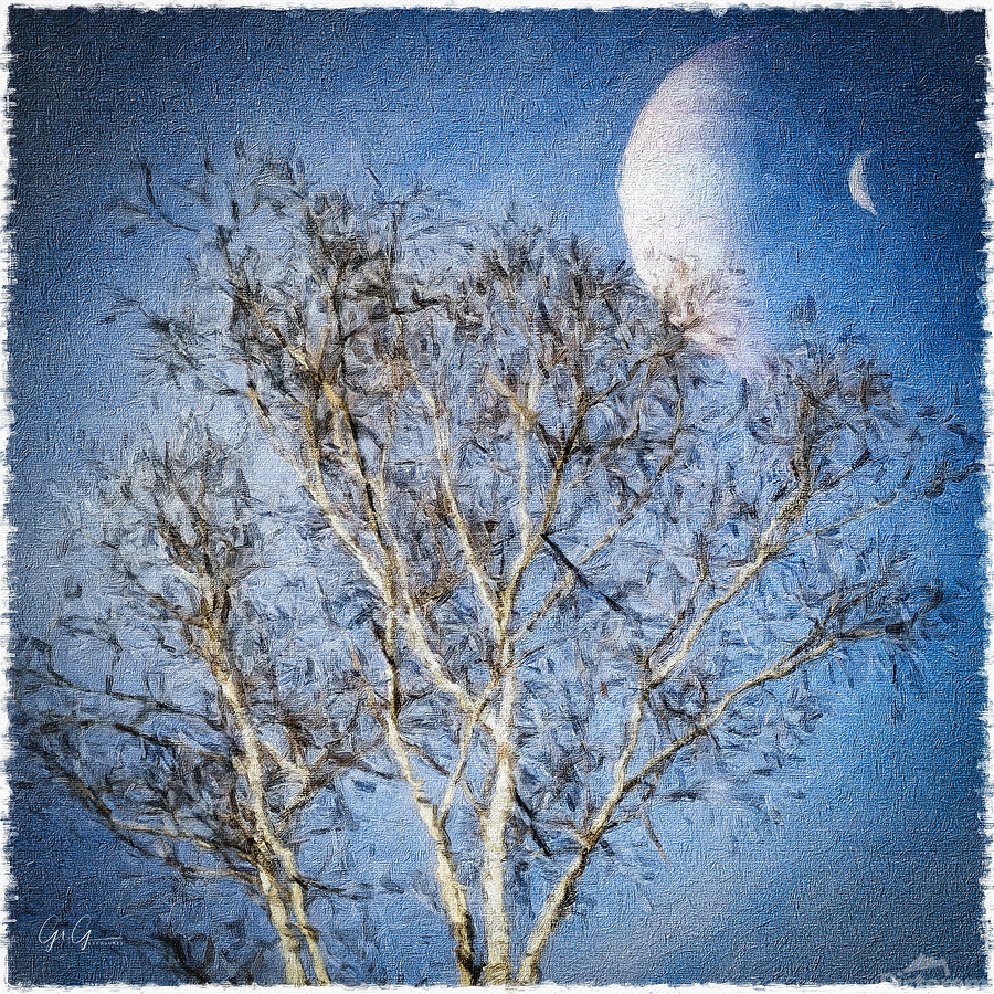 Birch Vs Planet Paint by Gavin Graham Wall Art