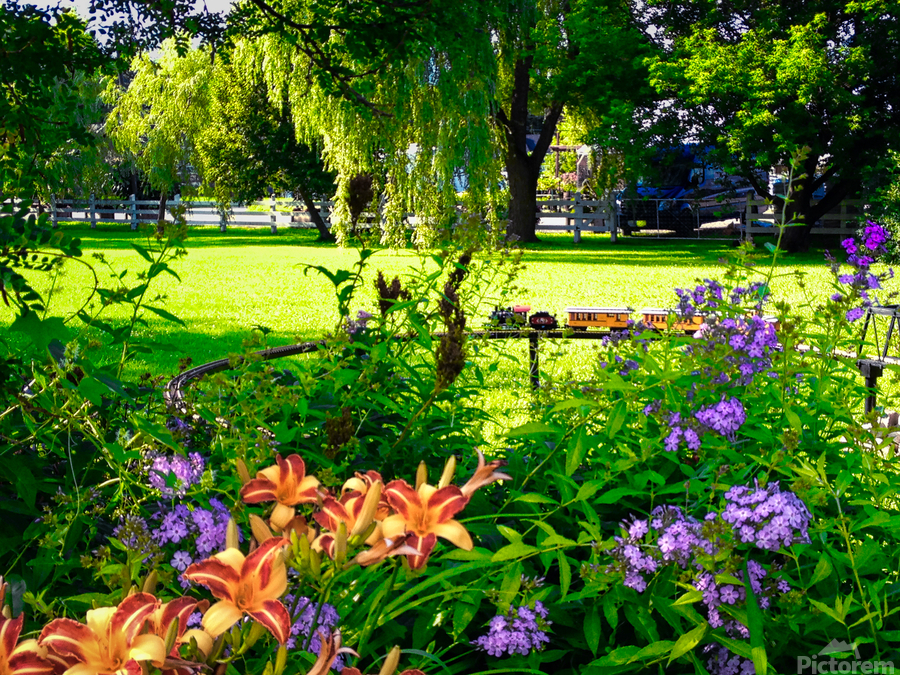 Little Train by Gavin Graham Wall Art