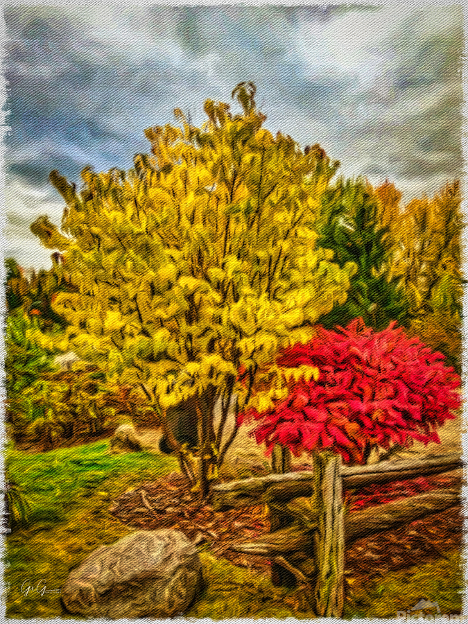 The Public Park by Gavin Graham Wall Art