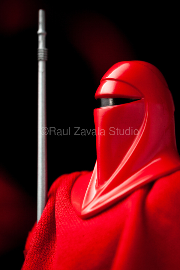 Royal Imperial Guard by Raul Zavala Studio Wall Art
