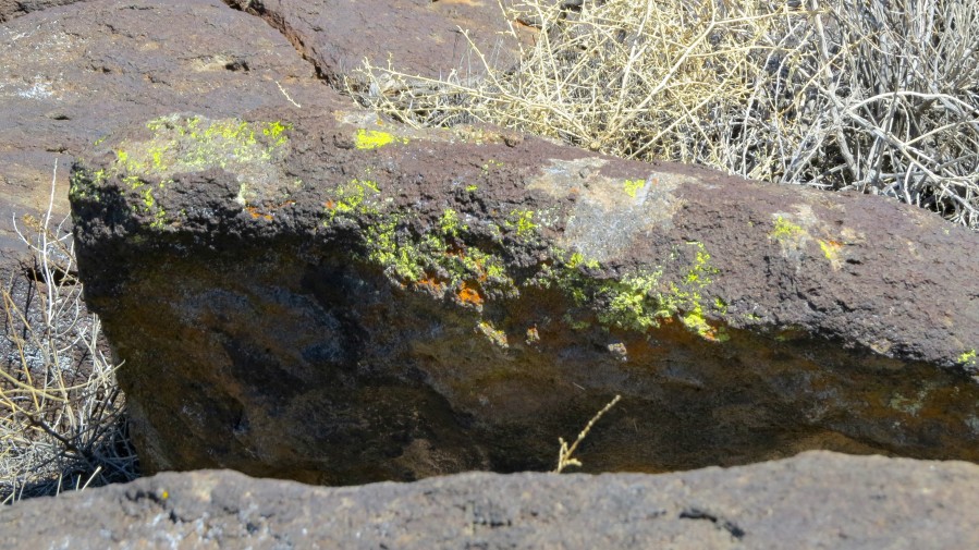 Hardened Lava from the Volcanoes of Albuquerque VP2 by Vicki Polin Wall Art