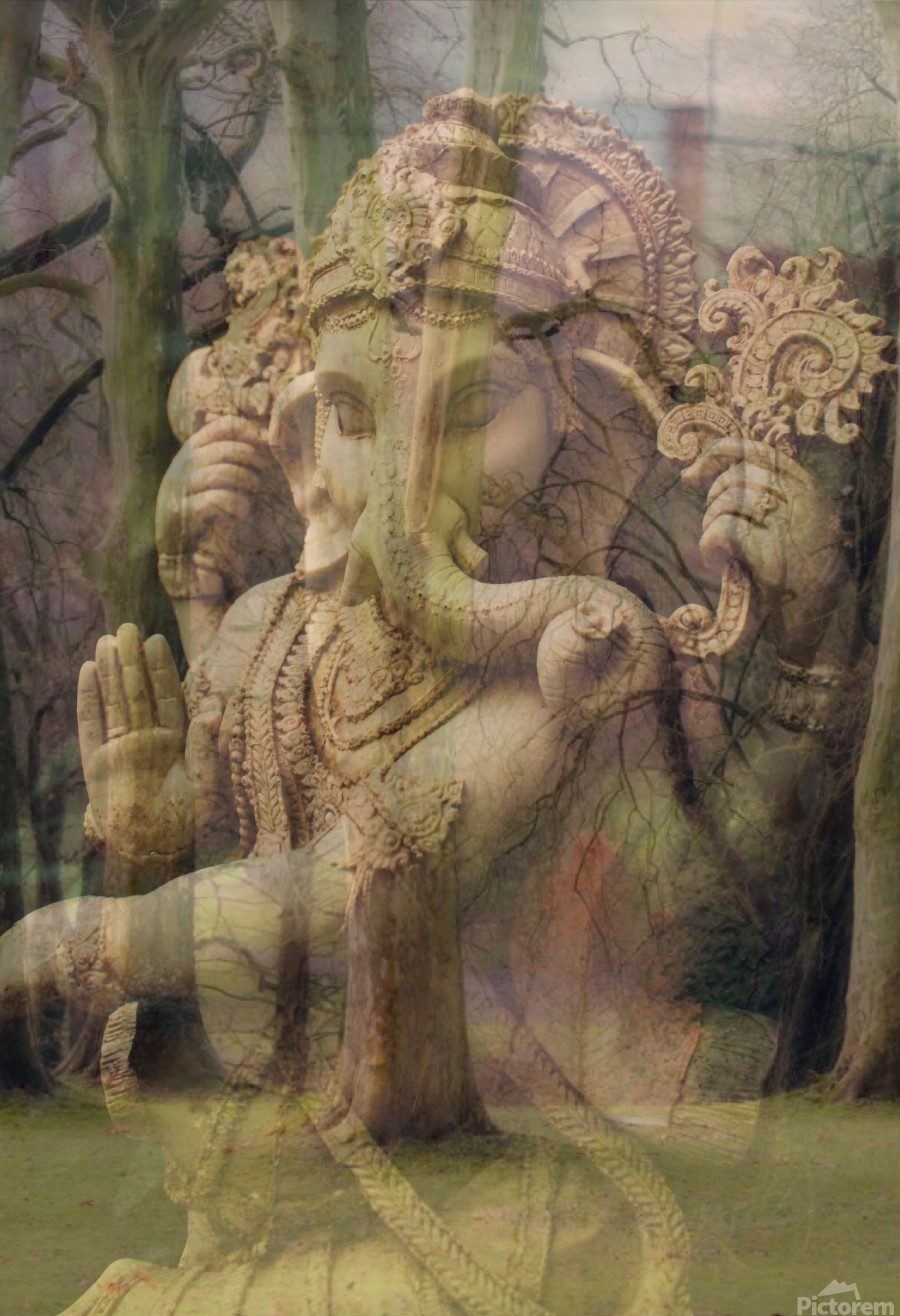 Ganesh Nature by mc2photography Wall Art