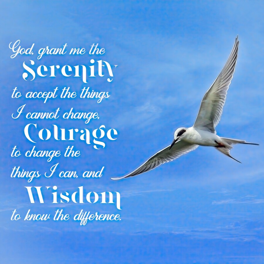 Serenity Courage Wisdom Square by HH Photography of Florida Wall Art