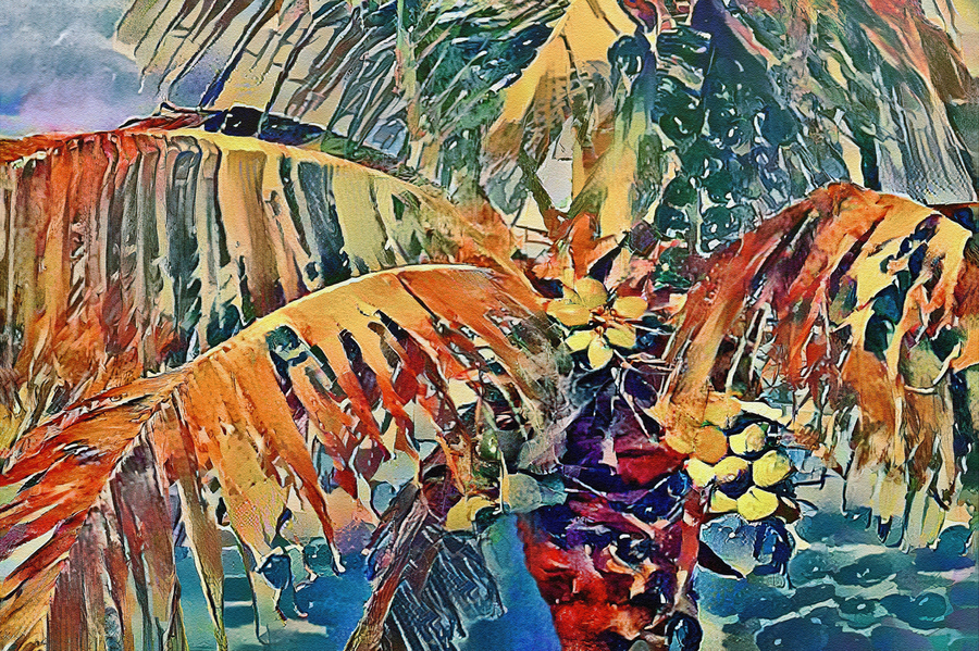 Tropical Coconut Palm by HH Photography of Florida Wall Art