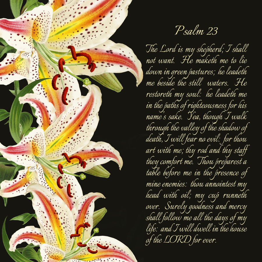 Psalm 23 by HH Photography of Florida Wall Art