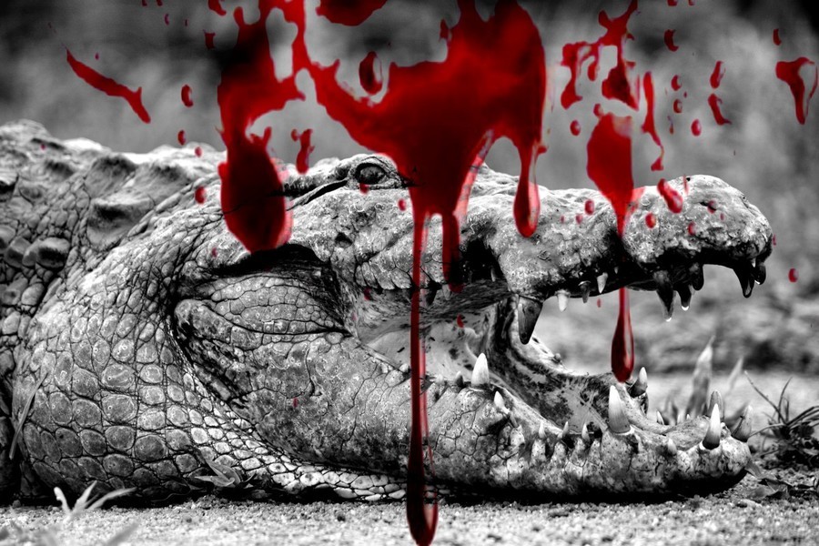 BloodandCroc by D de G Wall Art