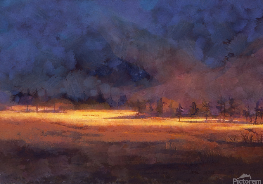 Spring in the Namib desert Namibia by Steven Sandner Wall Art