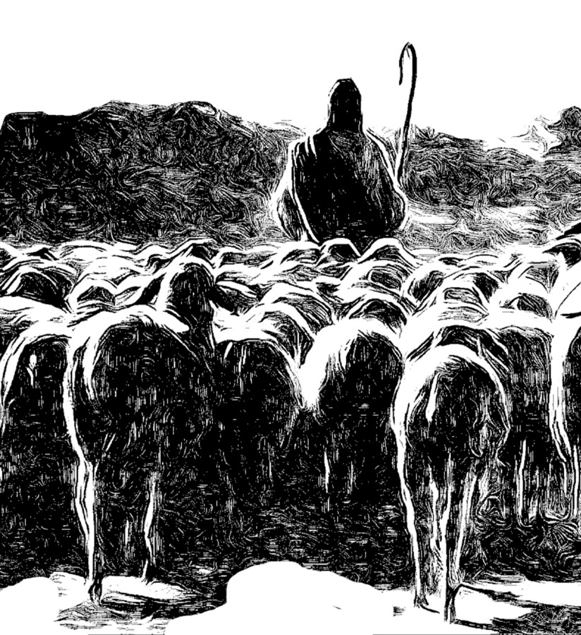 Jesus our shepherd by Flavio K Eloy Wall Art