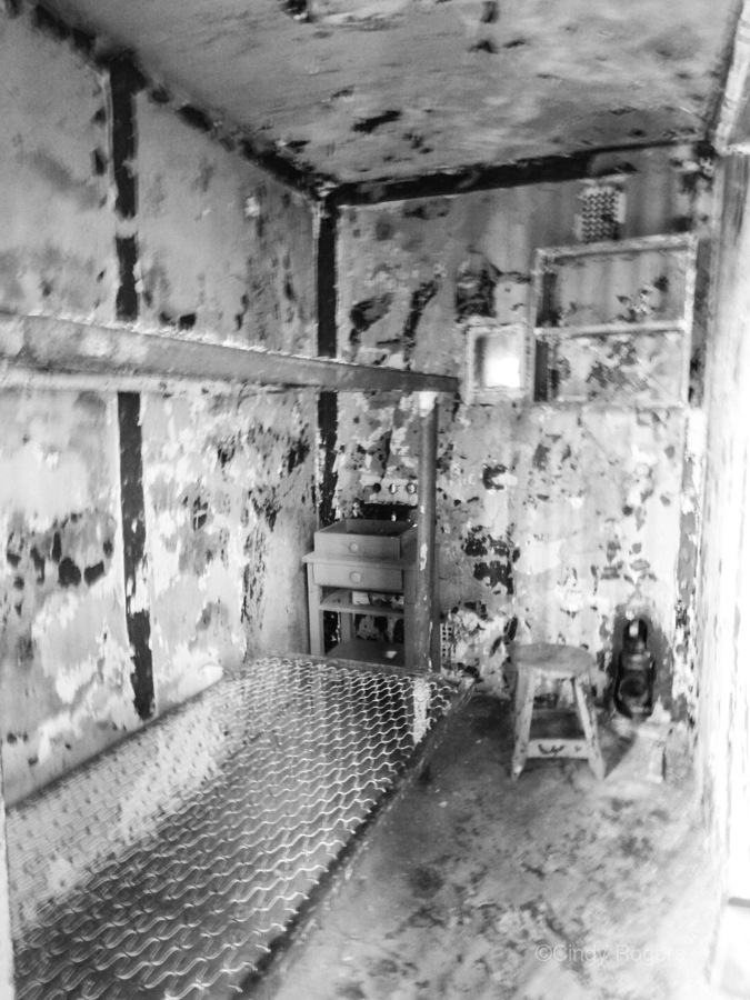 A Room with NO view by Cindy Rogers Wall Art