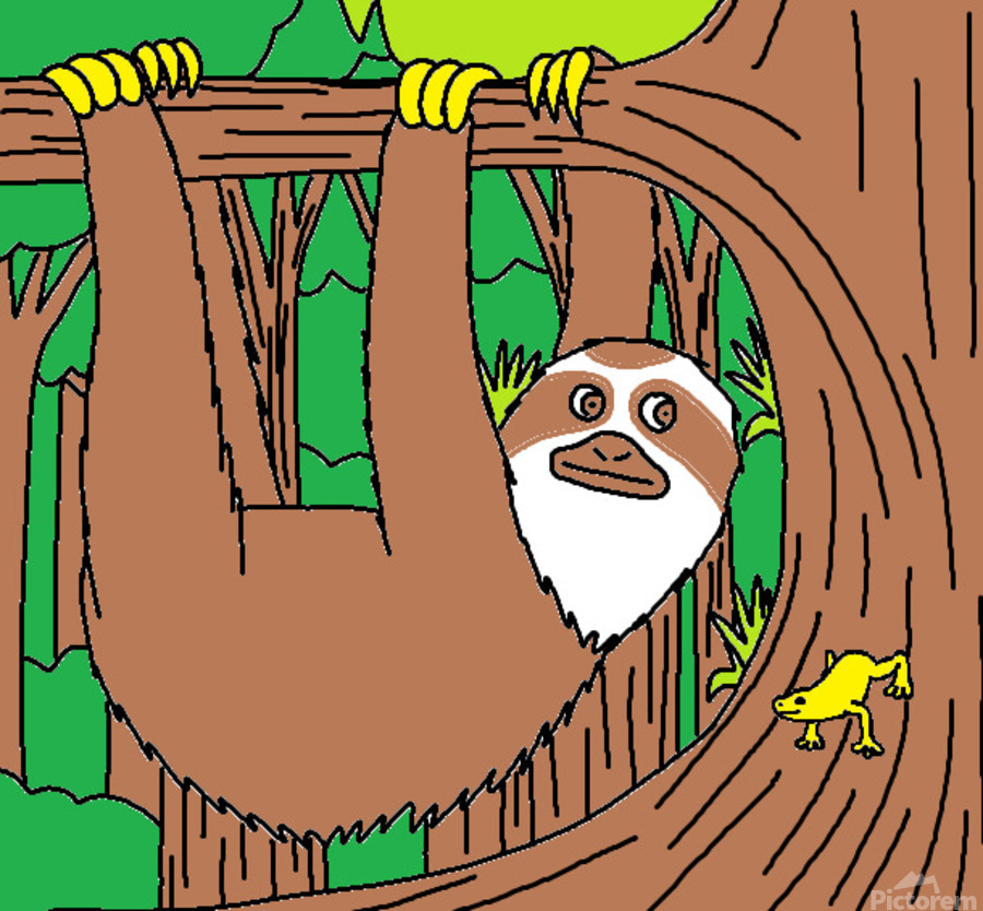 three toed sloth drawing