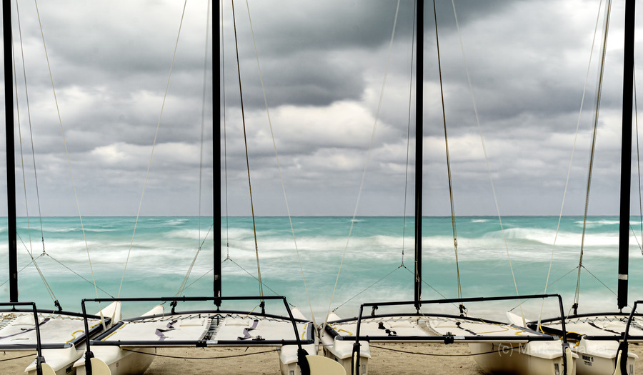 Catamarans by Mark Schacter Wall Art