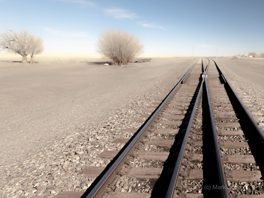 Two Tracks by Mark Schacter Wall Art