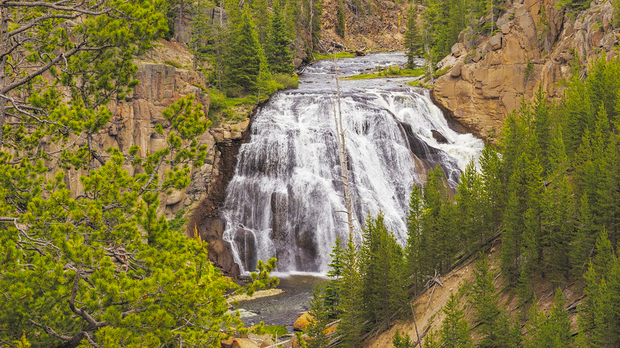 Gibbins Falls by John Freeman Wall Art