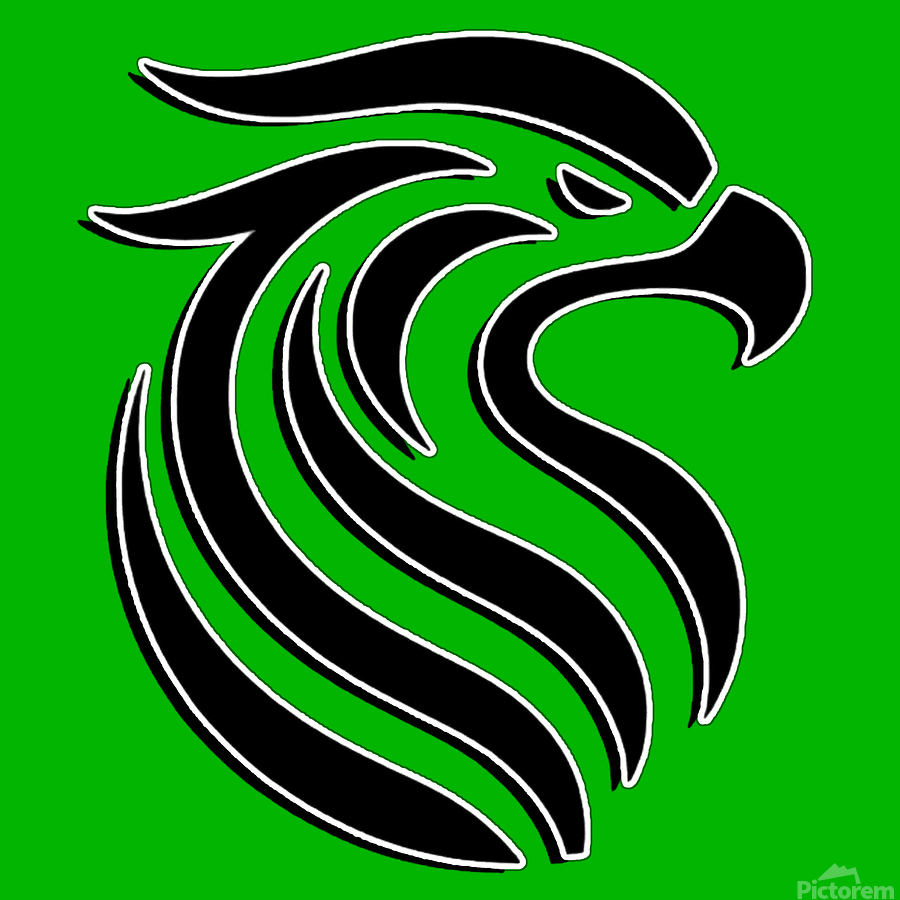 head eagle 1 by Bayu Perkasa Wall Art