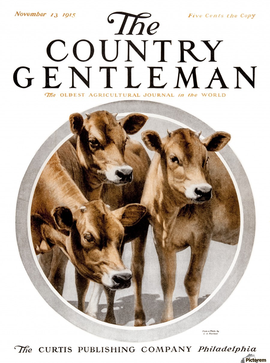 Cover of Country Gentleman agricultural magazine from the early 20th ...