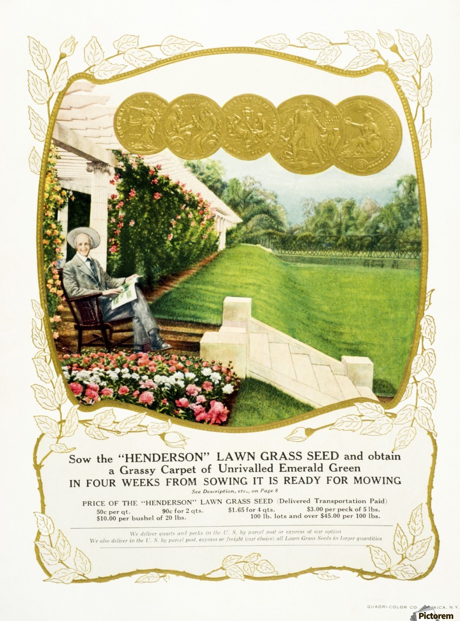 Historic Henderson lawn grass seed advertisement from 20th century. by ...