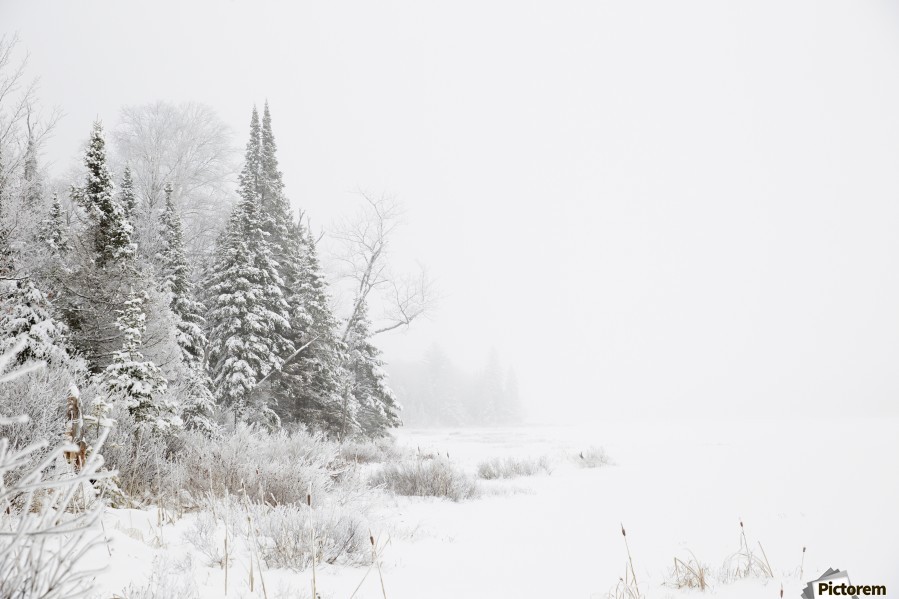 Snowy winter scene in the Algonquin Provincial Park; Ontario, Canada by ...