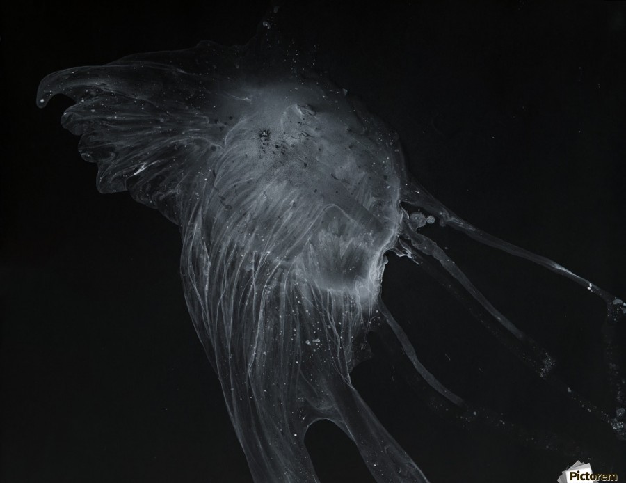 Glowing grey jellyfish in the dark water by PacificStock Wall Art