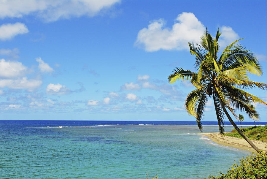 Fiji, Blue And Turquoise Ocean With Palm Tree And Sandy Beach. by ...
