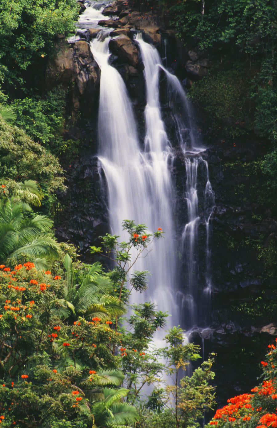 Hawaii, Big Island, Hamakua Coast, Nanue Falls Surrounded By Orange ...