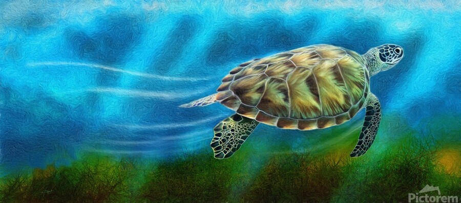 TURTLE IN THE OCEAN by George Bloise Wall Art