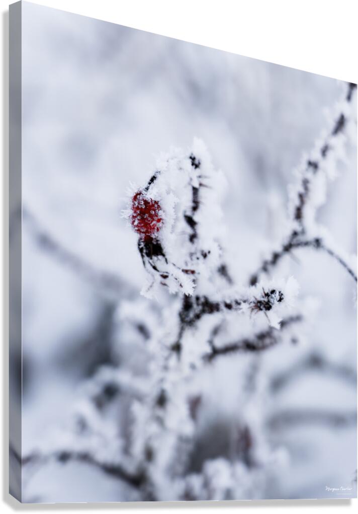 FROZEN IN THE TIME by Morgane Charlier Photography Wall Art