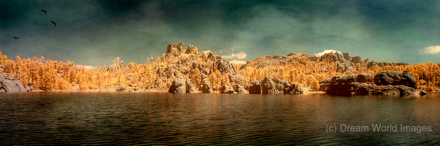 Sylvan Serenity: A Panoramic Odyssey at Custer State Park South by Dream World Images Wall Art