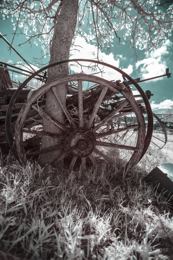Rustic Relic - Wooden Wheel by Dream World Images Wall Art