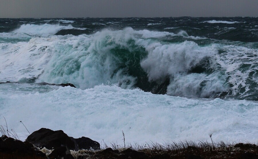 The Hungry Sea by Laura Titus Wall Art