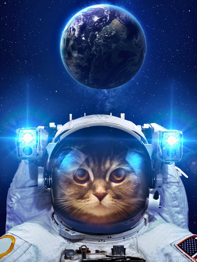 Cosmic Cat Astronaut in Space Suit Staring Out at Planet Earth by el ...